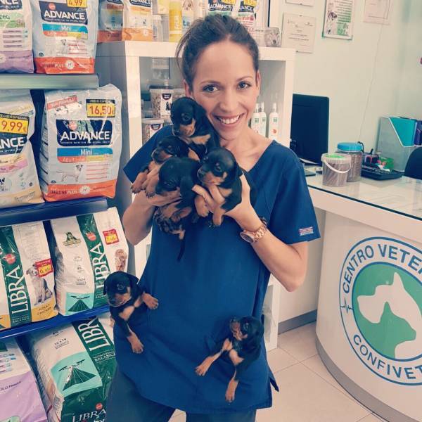 La Reproducción. Ciclo sexual de la perra